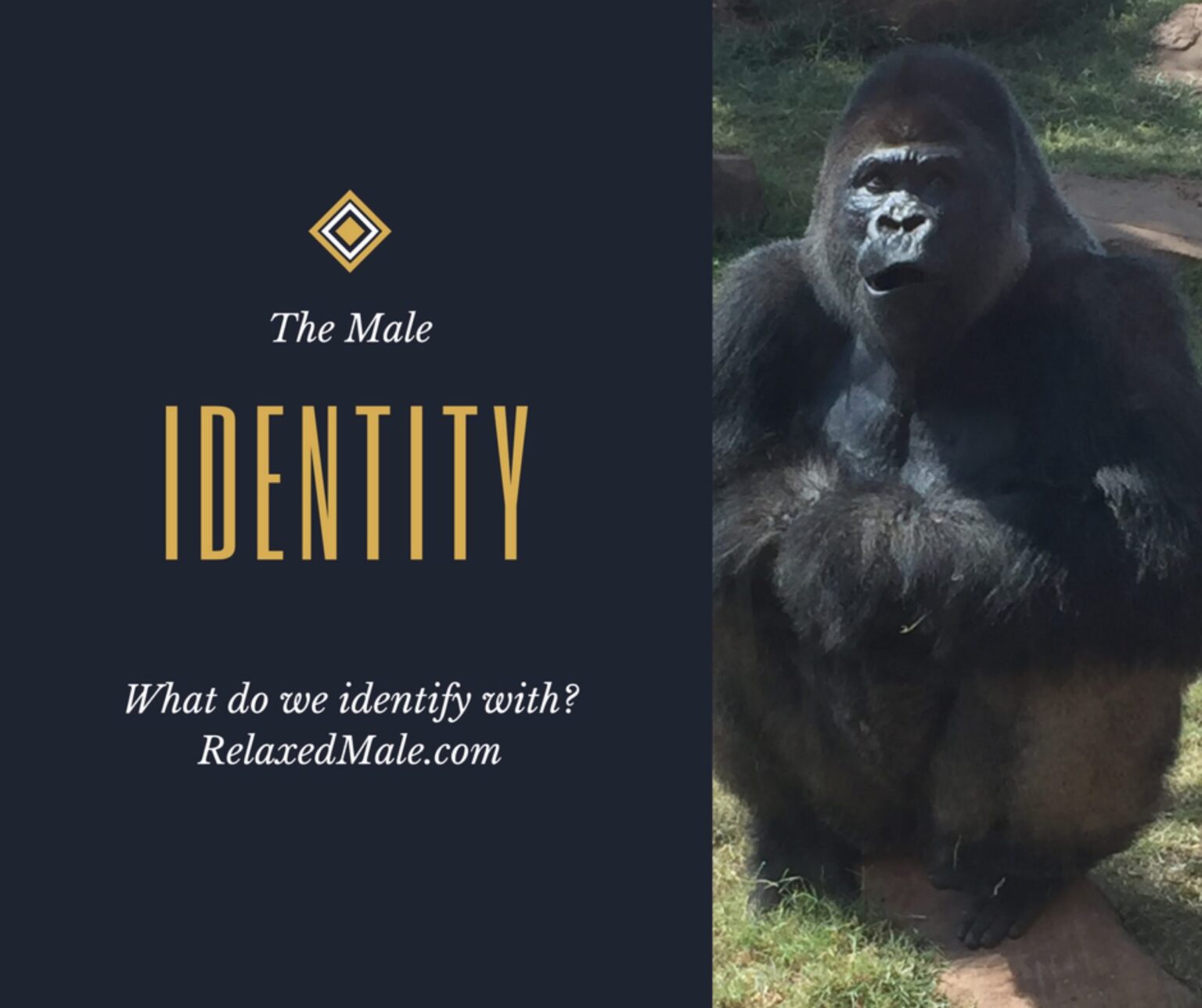 The Male Identity Is Being a Leader to His Family Friends, and Self
