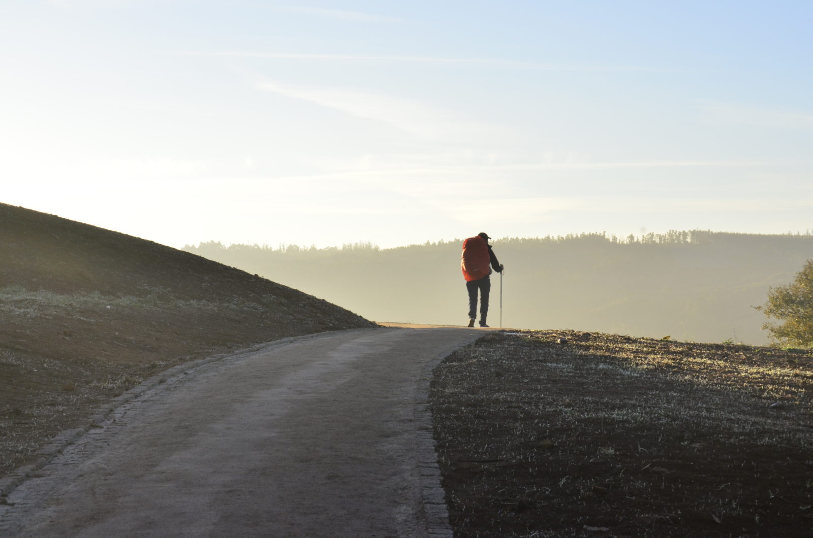 How to Reach For Your Dreams