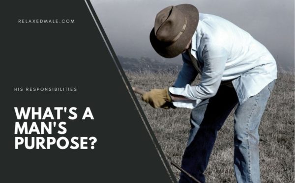 Finding Your Purpose