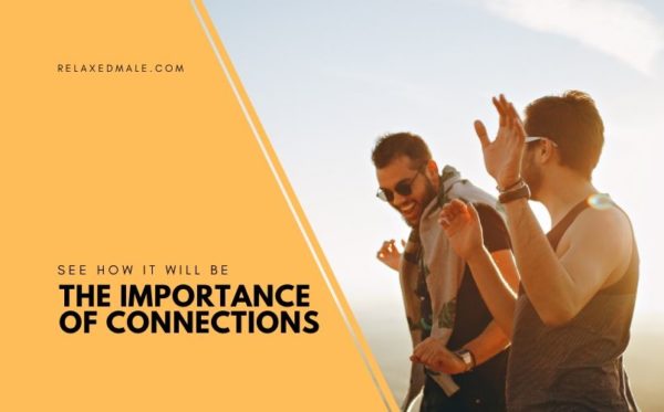 Connections and Their Importance